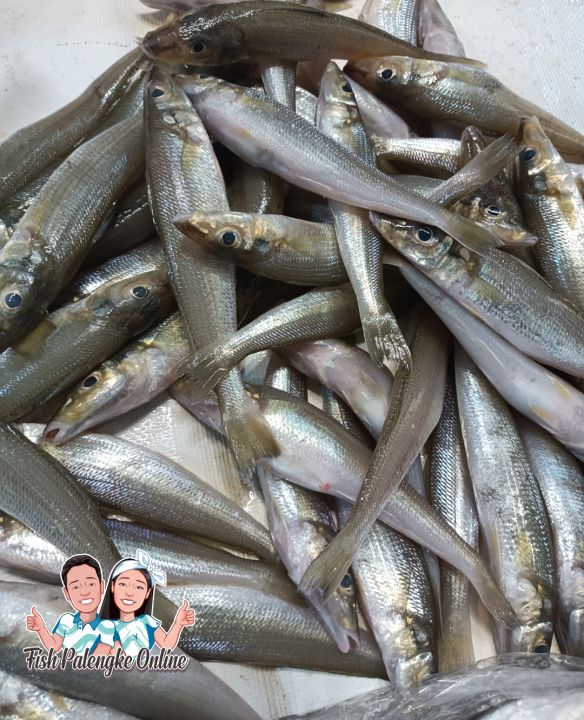 Asuhos, Asuhos Fish 1kg | Lazada PH