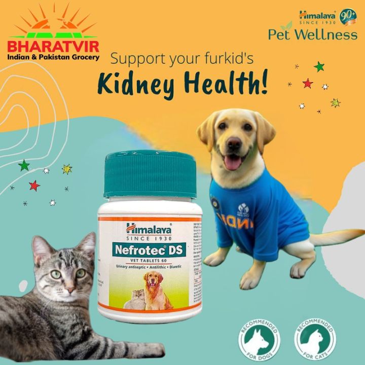 Himalaya Nefrotec DS For Dogs And Cats 60 Tablets | Lazada PH