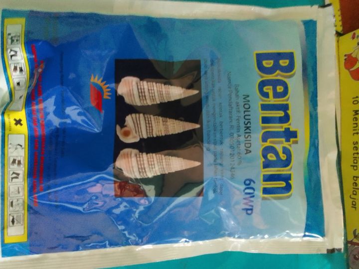 Bentan 60Wp | Lazada Indonesia