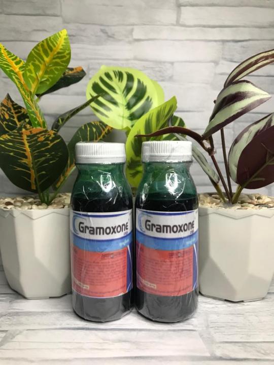 Gramason Herbisida Kontak Pembasmi Rumput 100Ml | Lazada Indonesia