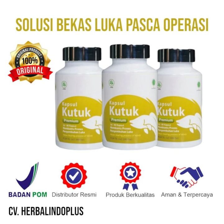 KAPSUL KUTUK IKAN KUTUK + obat luka kapsul kutuk albumin ikan gabus premium | Lazada Indonesia