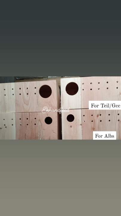 NESTBOX 8X16 FOR ALBS/TEILS/GCC BIRD PETS | Lazada PH