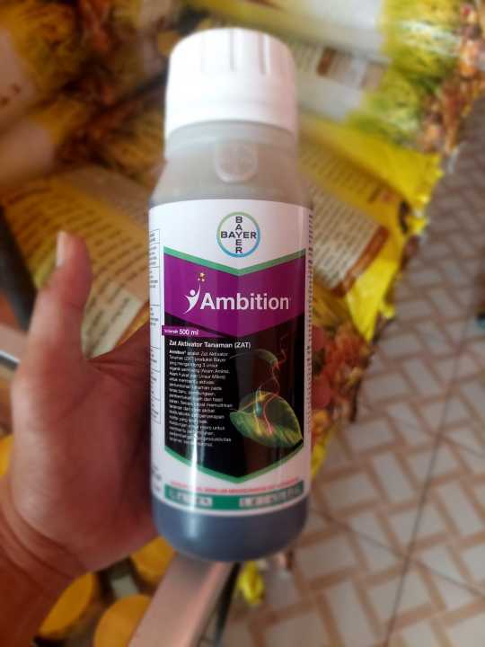 AMBITION 500 Zat atur tumbuh tanaman | Lazada Indonesia