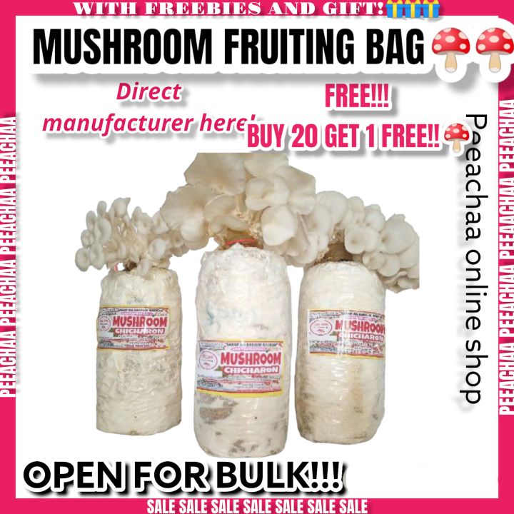 Mushroom fruiting Bag Fully ramified With instruction Buy10 get 1 free ...