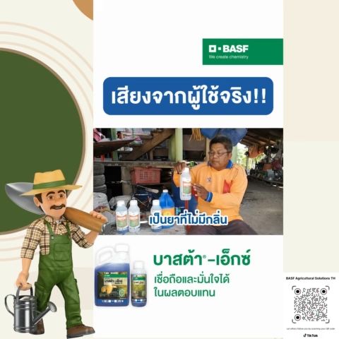 BASF Basta-X บาสต้า เอ็กซ์ สารกำจัดวัชพืช ขนาด 5 ลิตร | Lazada.co.th