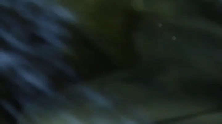 【Kirim dalam 24 jam】50ml Lem Kaca Retak Mobil Retak Panjang Biasa ...