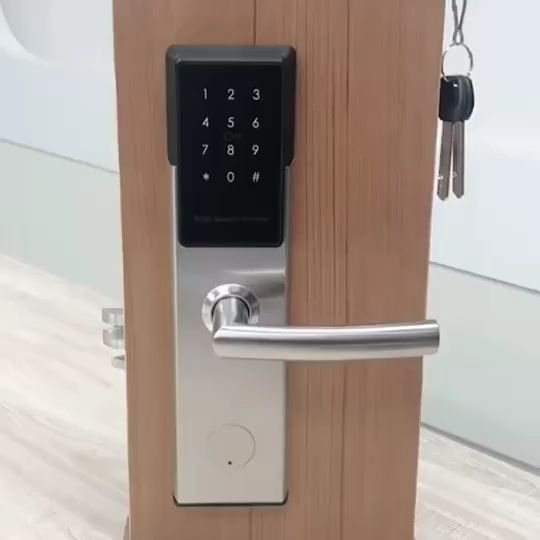 Free Installation Stainless Steel Ttlock Smart Lock Smdc Authorization