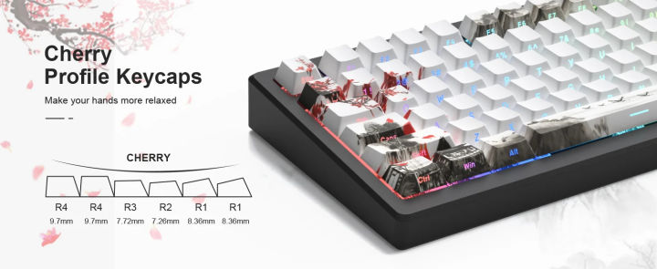 WOMIER 127 Keys Shine Through Plum Blossom Cherry Profile Keycap PBT ...