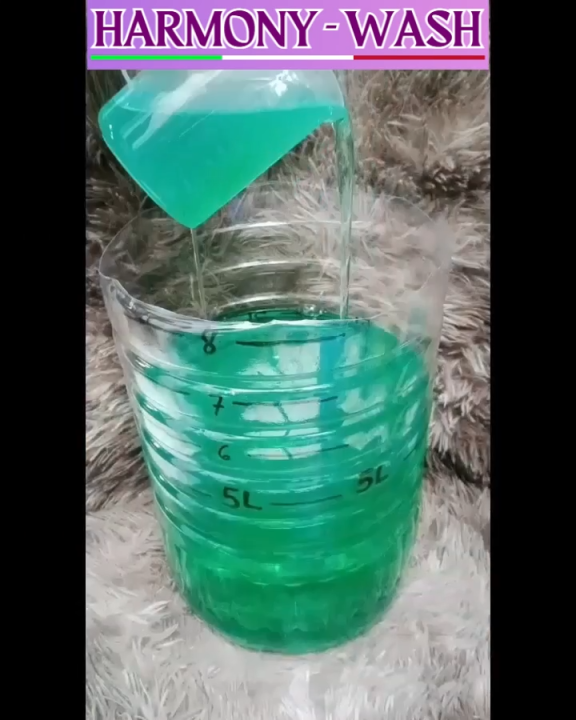 3-IN-1 DIY KIT DETERGENT, FOR LAUNDRY, FOR DISHWASHING, AND ALL-PURPOSE ...