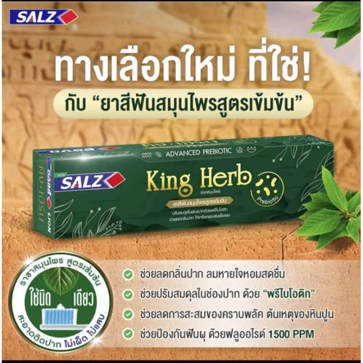 ยาสีฟันking Herb ยาสีฟันสมุนไพรสูตรเข้มข้น40กรัม | Lazada.co.th