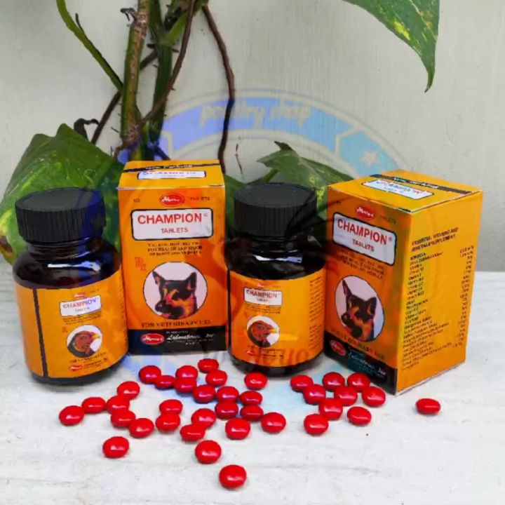CHAMPION VITAMIN AYAM isi 100 Pill - menguatkan otot kaki dan sayap ...