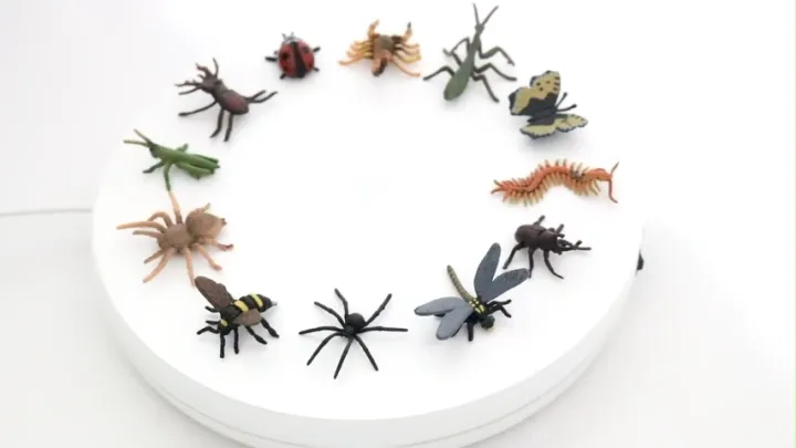 Isi 12 Set Mainan Insect Mainan Edukasi Anak Binatang Serangga Karet ...