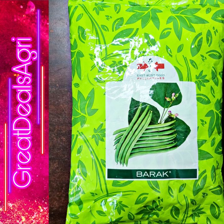 BARAK SNAP BEANS OPV BAGUIO BEANS SEEDS (KILO) EAST WEST SEEDS | Lazada PH