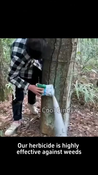 【Strong destructive power】500g weed killer racun rumput paling kuat ...