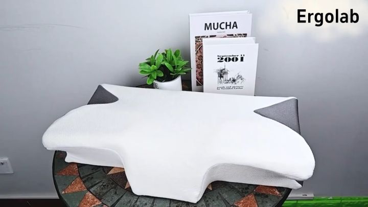 【ราคาถูกสุด+ส่งฟรีในกทม】 หมอน ergoLab deep sleep ขจัดอาการปวดคอและเปลี่ยนชีวิตการนอนด้วยการนอน ...