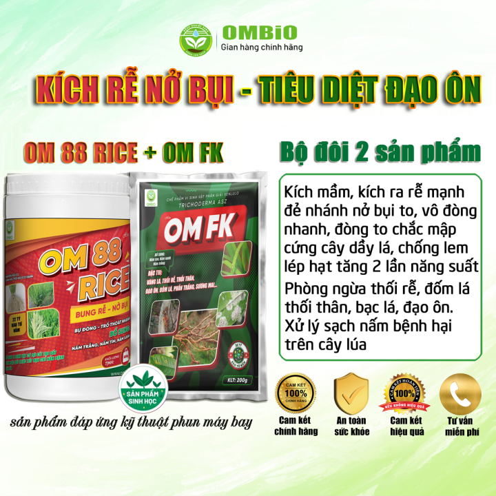 OM 88 RICE + OM FK - Bộ đôi kích rễ mạnh, đẻ nhánh nhanh, nở bụi to ...