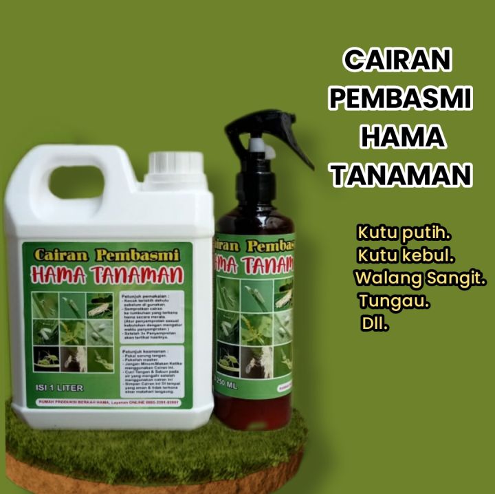 Pembasmi Hama Tanaman Kutu Putih kutu Kebul Dll | Lazada Indonesia