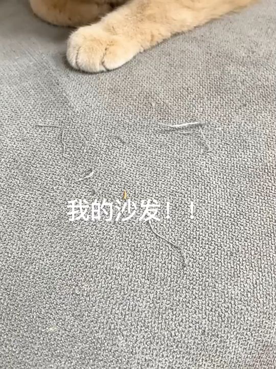 Anti Cat Scratch Sticker Anti Sofa Scratcher Cat Scratch Guard Mat