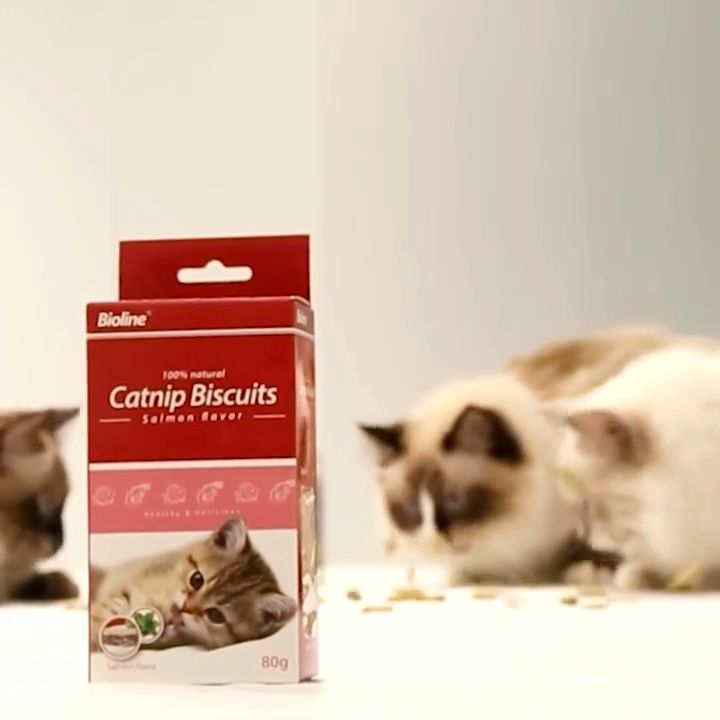 Bioline Catnip Biscuits / Cat Treats 80G | Lazada