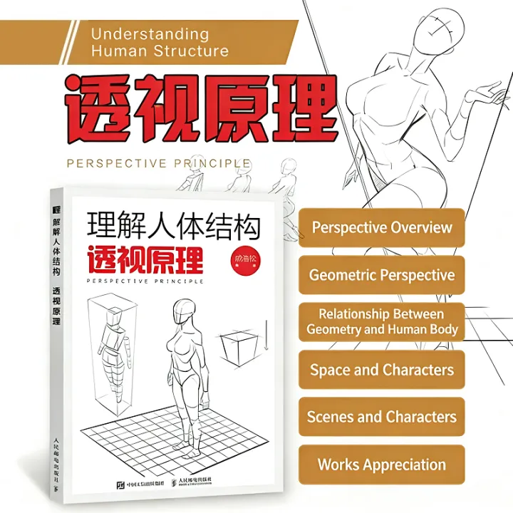 Human Anatomy + Perspective Principles Tutorial Book - Understand Body ...