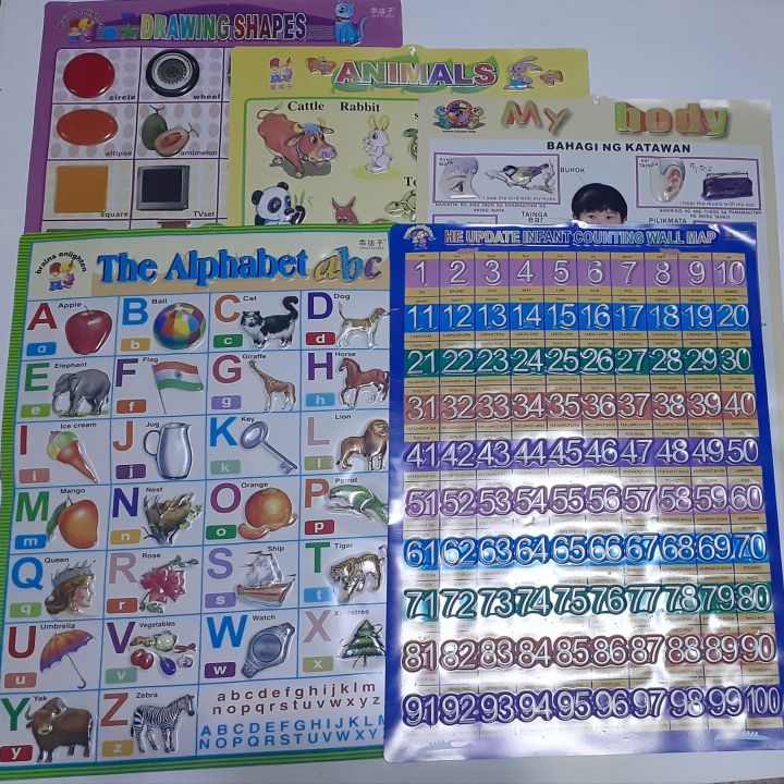 Embossed Charts Set of 5 | Lazada PH