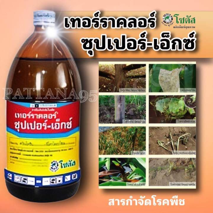 เทอร์ราคลอร์ ซุปเปอร์-เอ็กซ์ (Terraclor Super-X) ป้องกันกำจัดโรคพืช ...