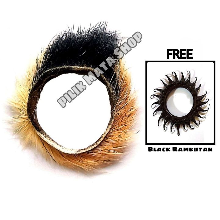 Original Pilik Mata ng Kambing with Black Silicone Ring | Lazada PH