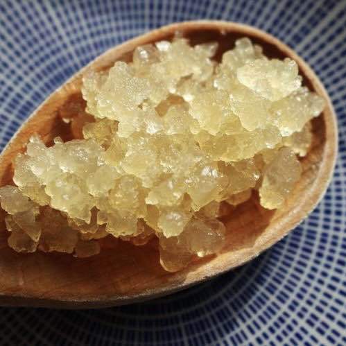 Water Kefir Grains (Tibicos) - คีเฟอร์น้ำ | | Lazada.co.th
