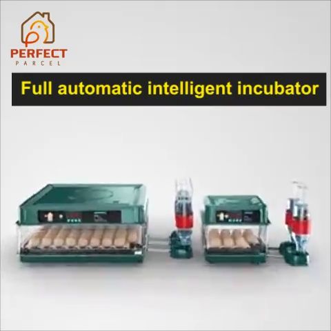 DEKES 130 Egg Incubator Intelligent Digital Hatcher Brooder 220V/12V ...