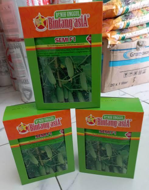 Benih Timun lalab bahasa sunda Bonteng ( Semi F1) Cocok ditanam di ...