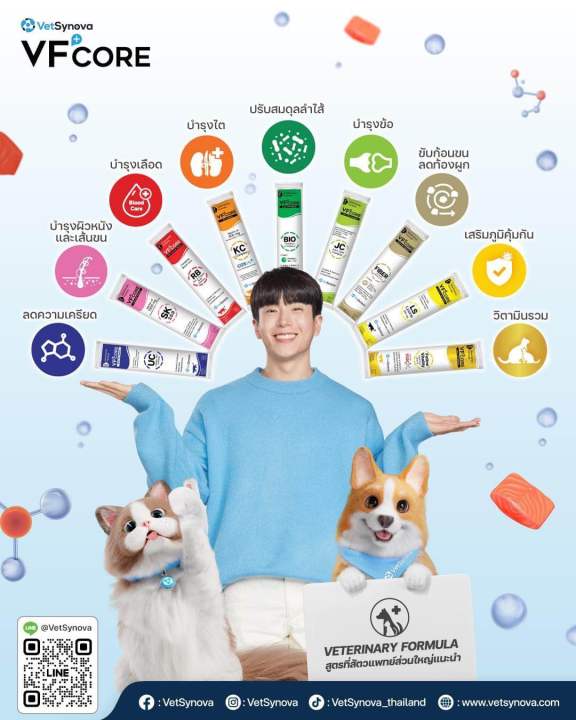 (แบ่งขาย 10 ซอง) Vf Core วิตามินแมวเลีย 9 สูตร อร่อยสุขภาพดี | Lazada.co.th