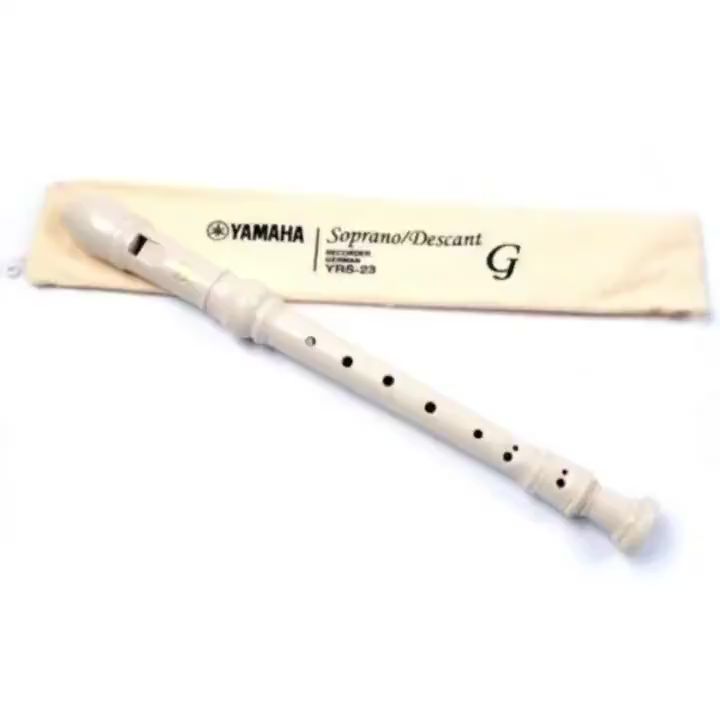Plastic Instrument Soprano Recorder With Cleaning Rod 8-Hole Flute ...