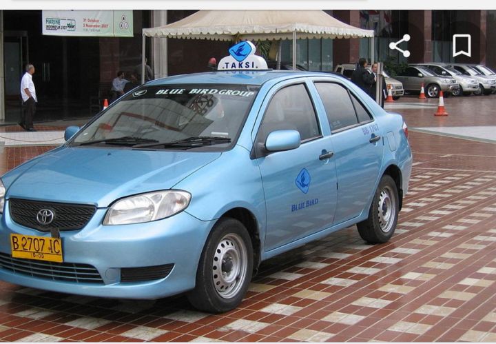 cat biru blue bird taxi pu 1/2 kg | Lazada Indonesia