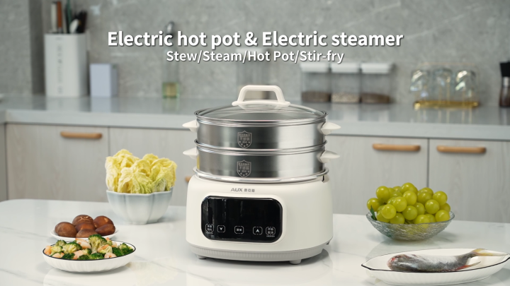 2000W 5L/17L Large Capacity Electric Steamer Electric Cooker with ...