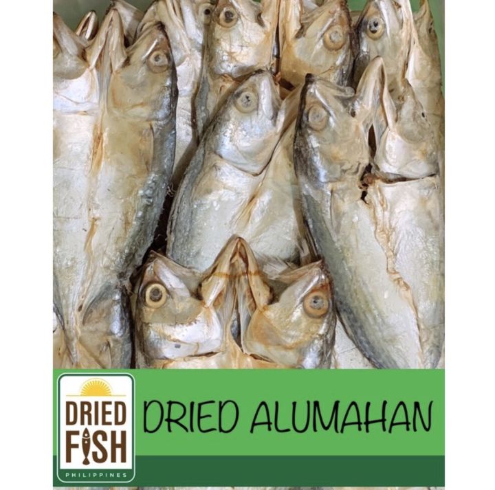 DFP Dried Fish Alumahan 250g, 500g, 1kilo VACUUM SEALED | Lazada PH