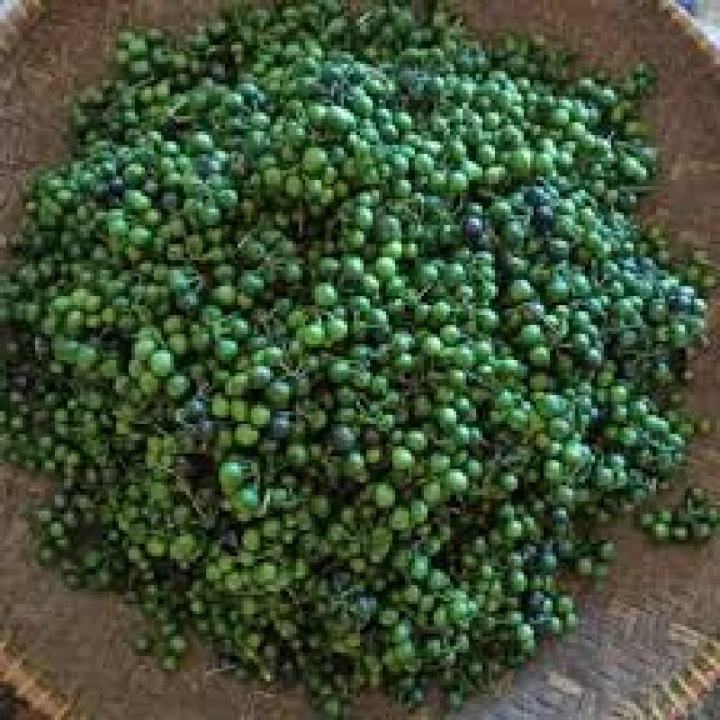 buah lenca bogor segar 1kg | Lazada Indonesia