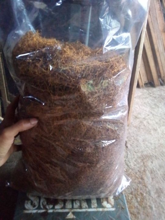 Daun Talas Beneng kering 1kg | Lazada Indonesia