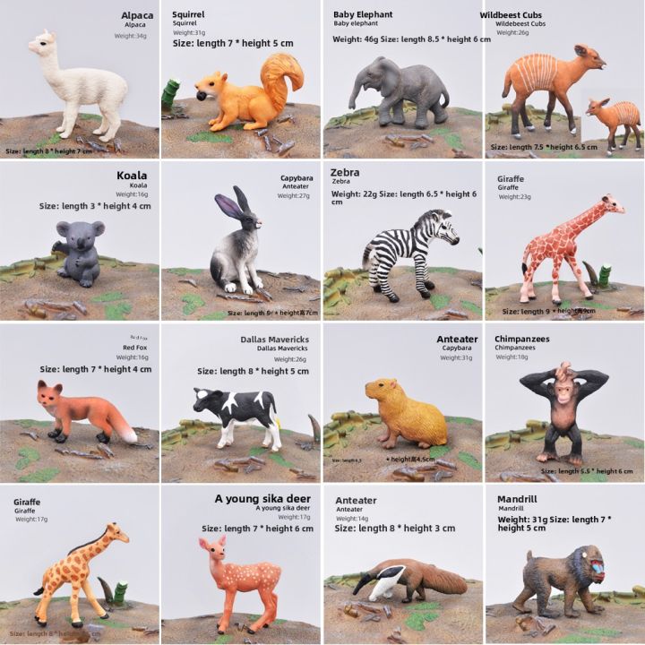 Solid Children's Cognitive Simulation Animal Toy Models Squirrel Guinea ...
