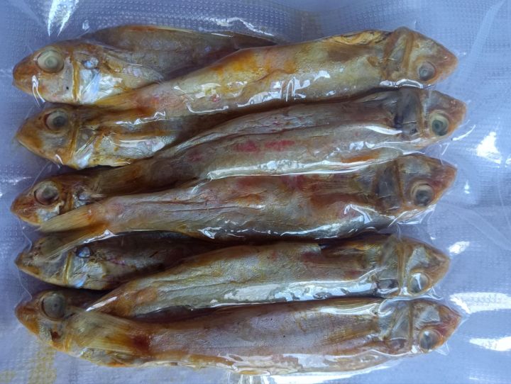 Bisugo dried fish from Bicol Vacuum sealed pack | Lazada PH