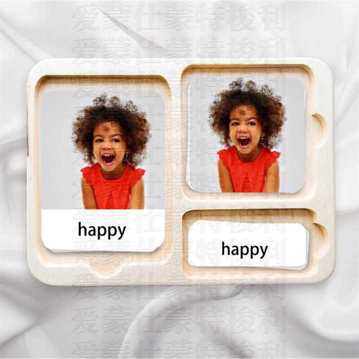 Montessori Three-Part Cards Emotional Sensory Language Enlightenment ...