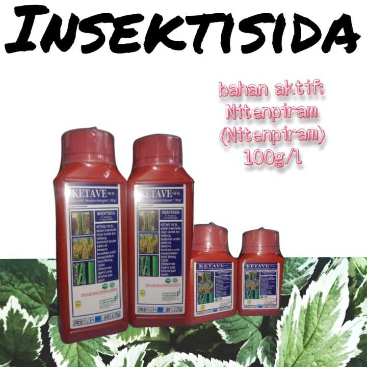 INSEKTISIDA KETAVE 500ML | Lazada Indonesia