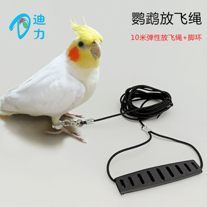 Parrot Flying Rope Does Not Hurt Feet Ultra-Light Training Rope Tiger ...
