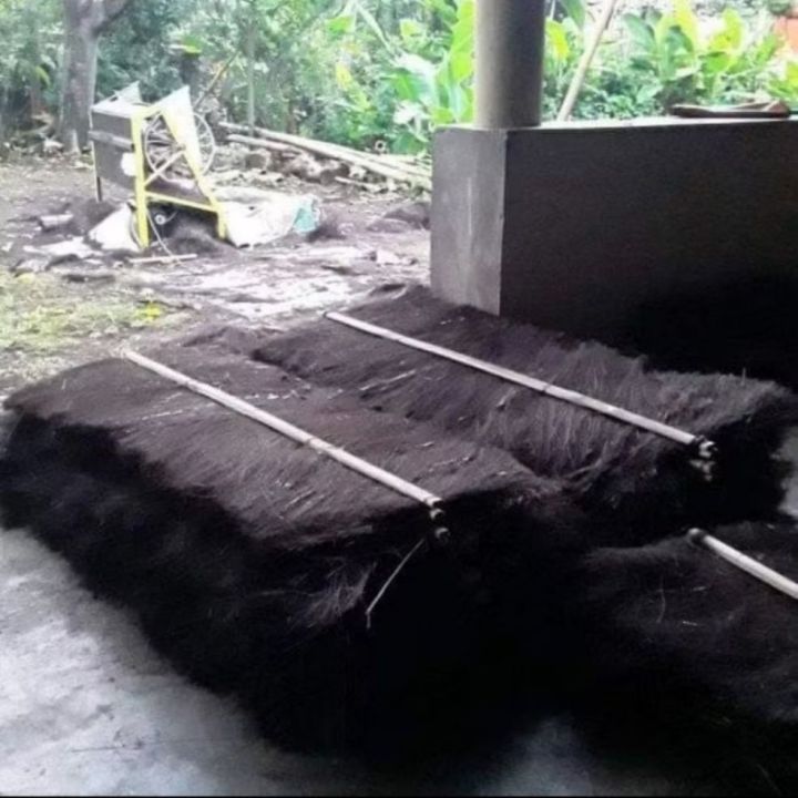 ijuk kakaban beli 10 gratis 1 - injuk tempat bertelur ikan | Lazada ...