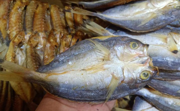 DRIED DALAGANG BUKID | DRIED FISH | 1KG | Lazada