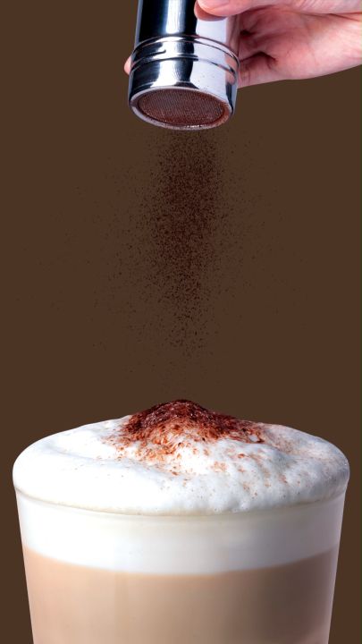 AIK CHEONG 3in1 Cappuccino with Choco Granule Instant Premix 300g (25g ...