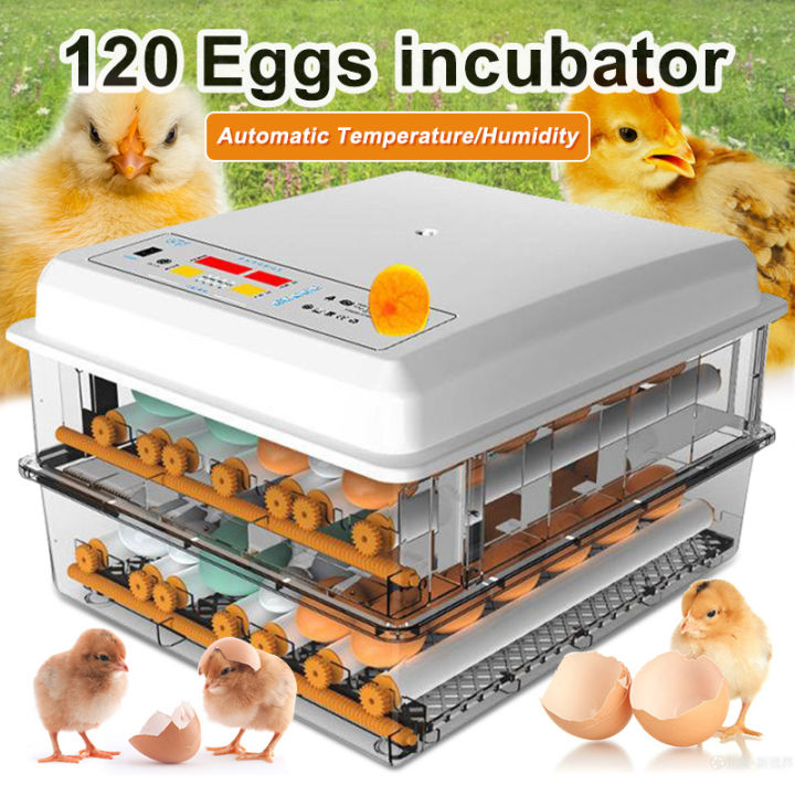 220V/12V Egg Incubator Fully Automatic 16/36/64/120 Eggs Incubator with Hatcher Egg Turning and ...