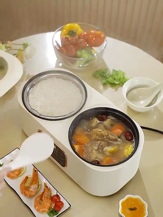 Double Rice Cooker Mini Electric Multi-function Double Bile Rice Cooker ...