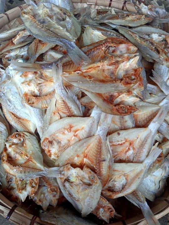 250g bisugo white /Silay driedfish from Masbate vaccum sealed /vaccum ...