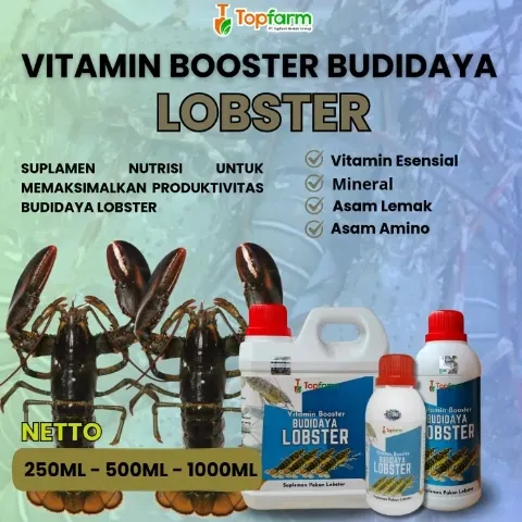 Vitamin Booster Lobster / Vitamin Budidaya Ternak Lobster / Vitamin Lobster Cepat Besar ...