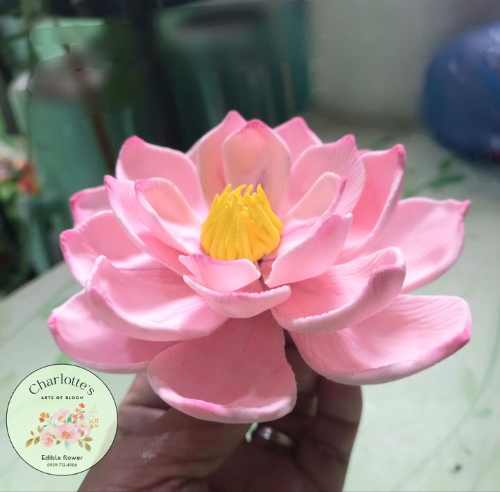 EDIBLE GUMPASTE LOTUS/LILY CAKE TOPPER | Lazada PH